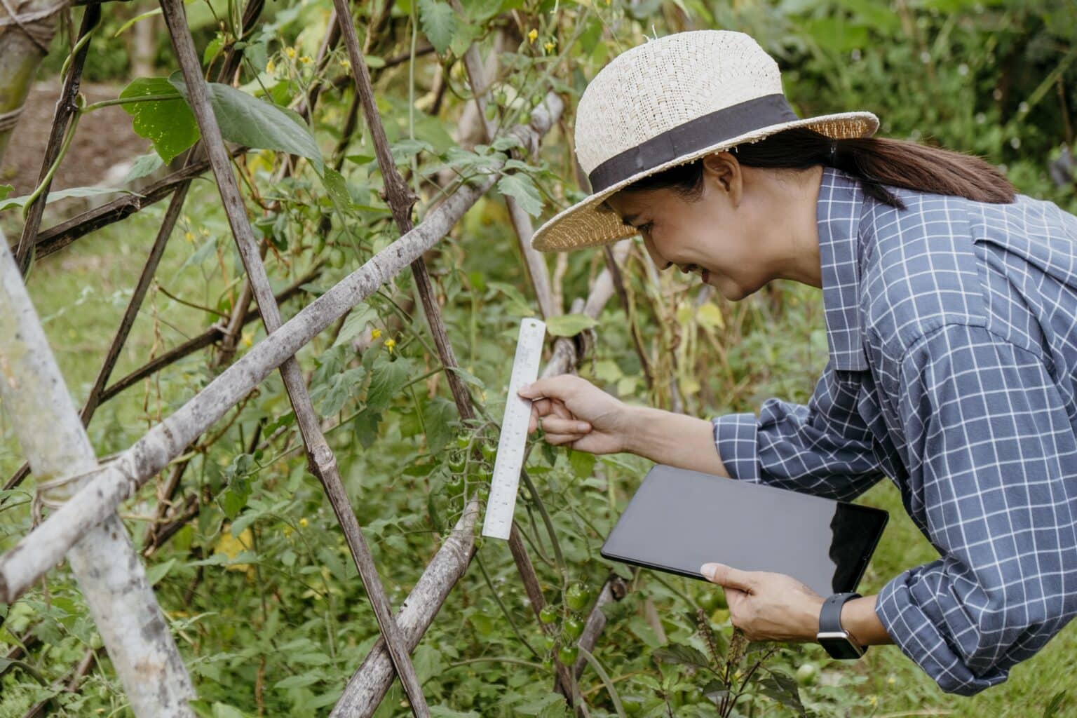 BCBA Fieldwork Requirements Explained: Guide for Future BCBAs